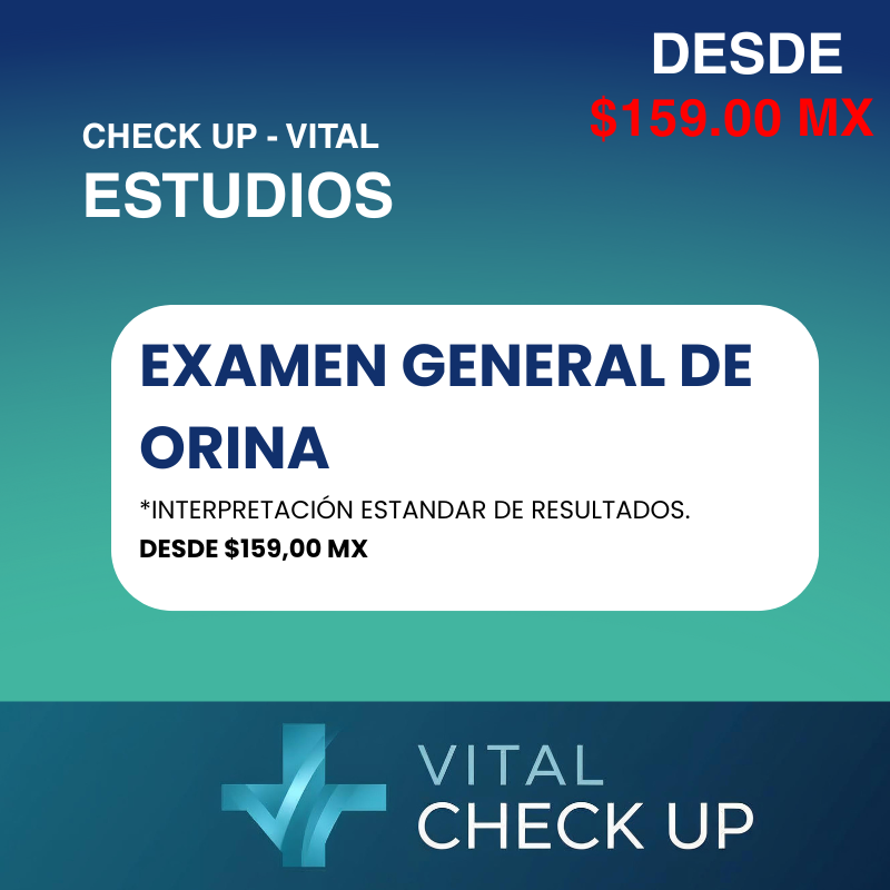 Inicio - Vital Check Up